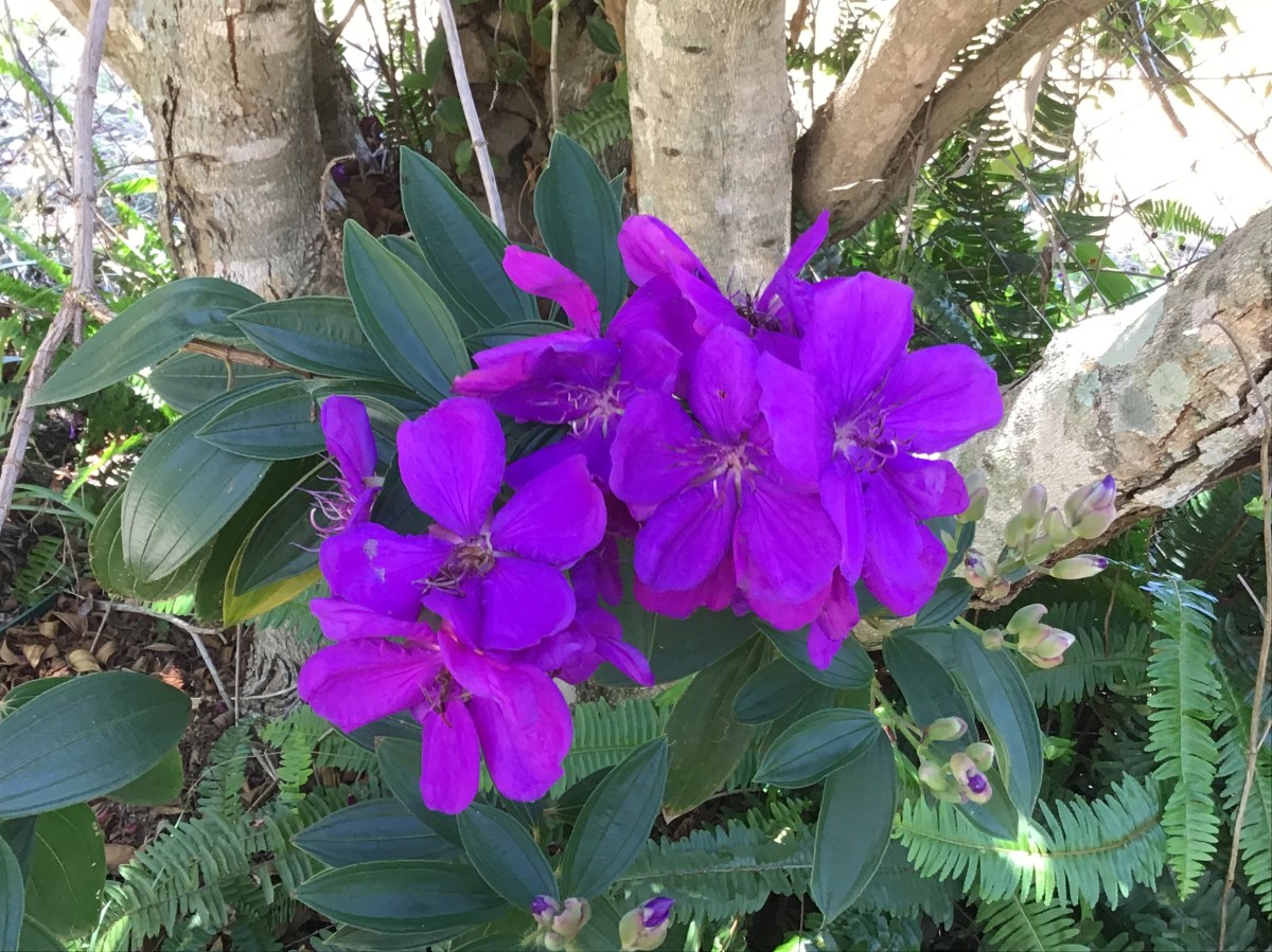 On ‘Toxic Positivity’ – Liz Hall-Downs